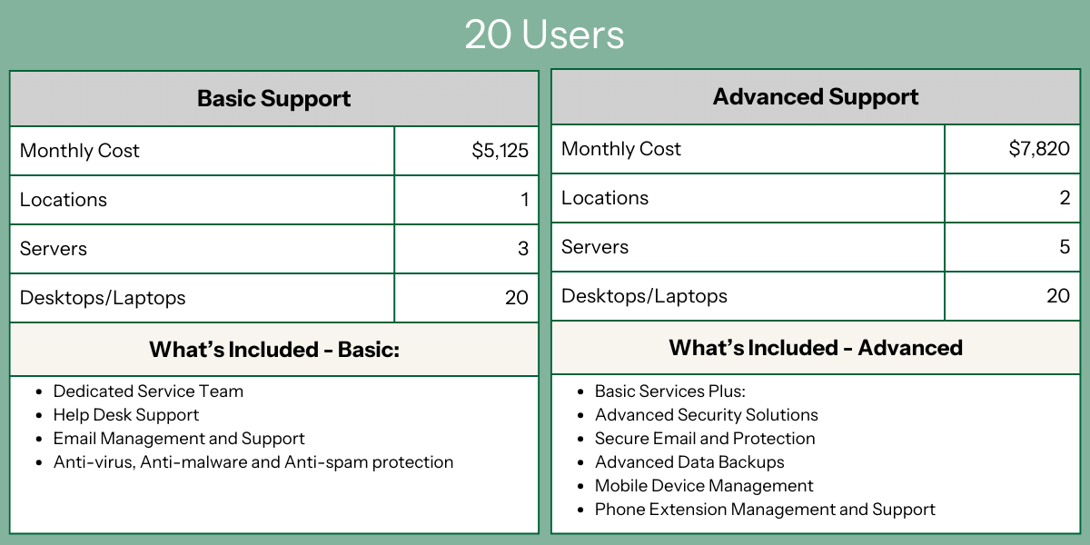 How Much Do Managed IT Services Cost in 2024 | MIS Solutions